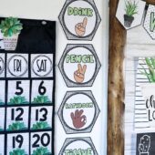 Plant Classroom Decor Bundle | Confetti & Creativity