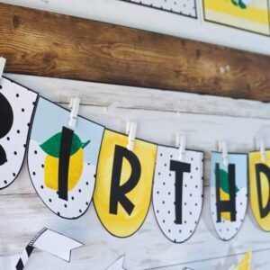 Lemon Farmhouse Birthday Display | Confetti & Creativity