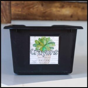 Plant Editable Labels | Confetti & Creativity