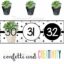 Plant Number Line 0-200 | Confetti & Creativity