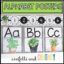 Plant Alphabet Posters: Normal and Cursive Fonts | Confetti & Creativity