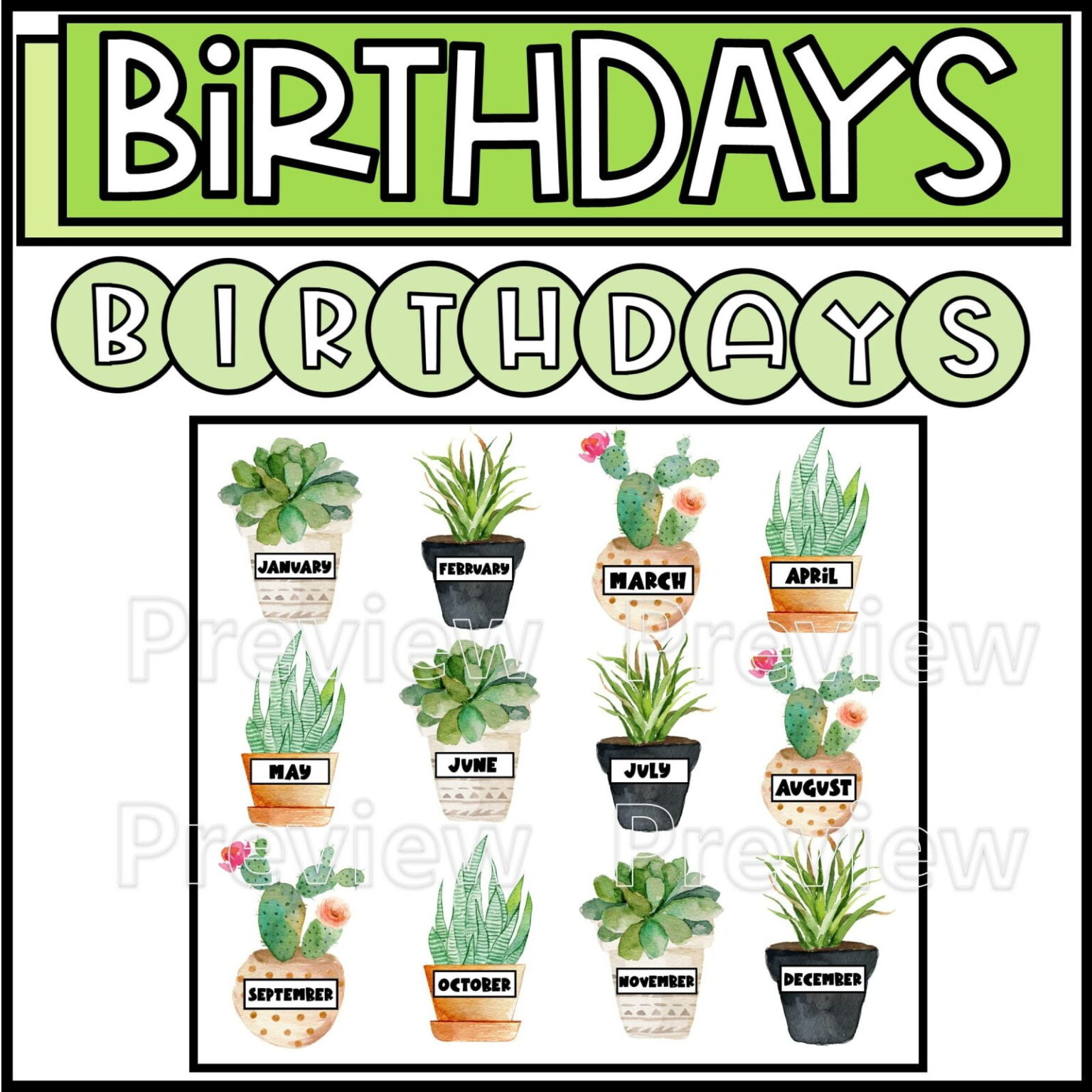 Plant Birthday Display | Confetti & Creativity