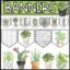 Plant Editable Banner | Confetti & Creativity