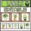 Plant Editable Labels | Confetti & Creativity
