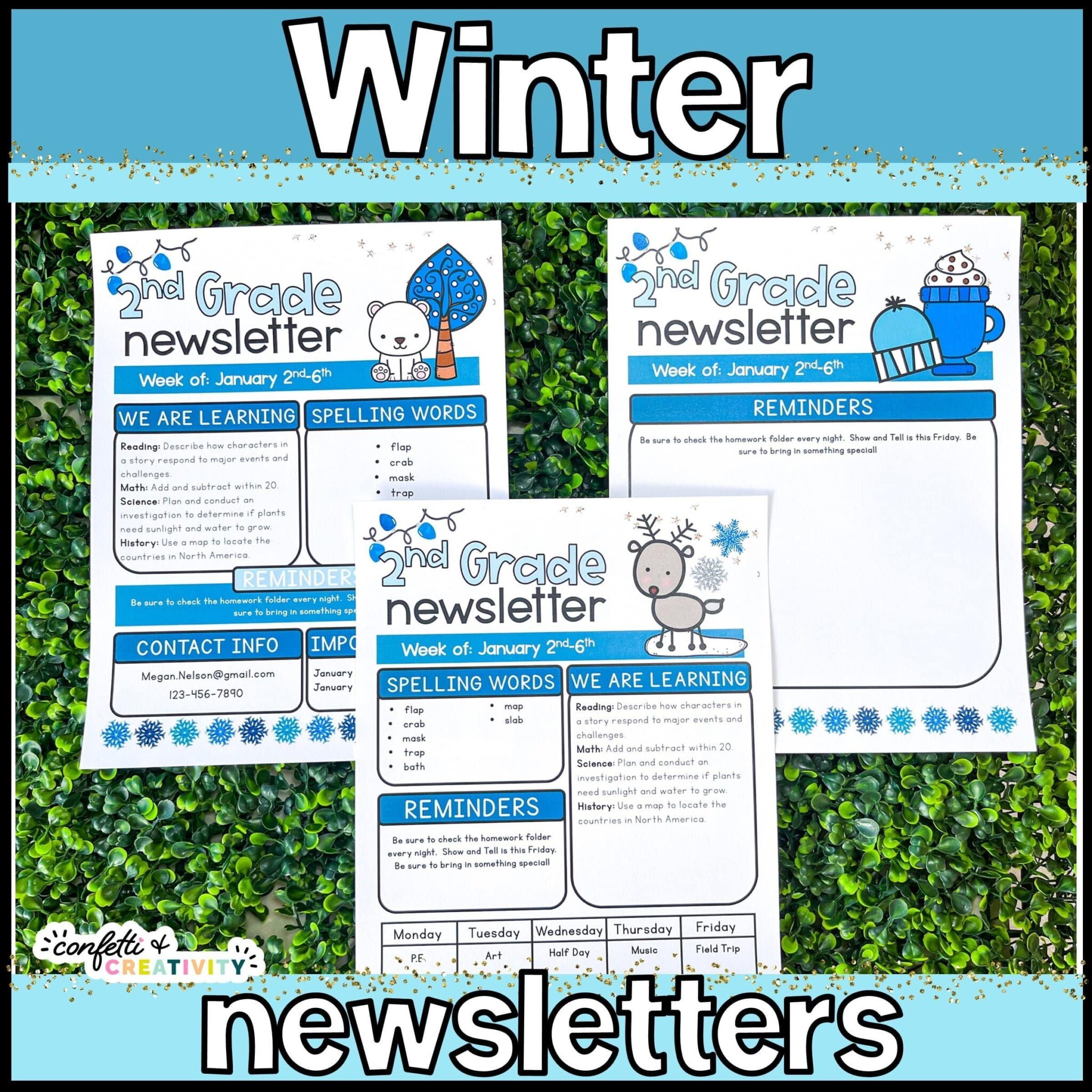 Winter Newsletter Templates | Confetti & Creativity