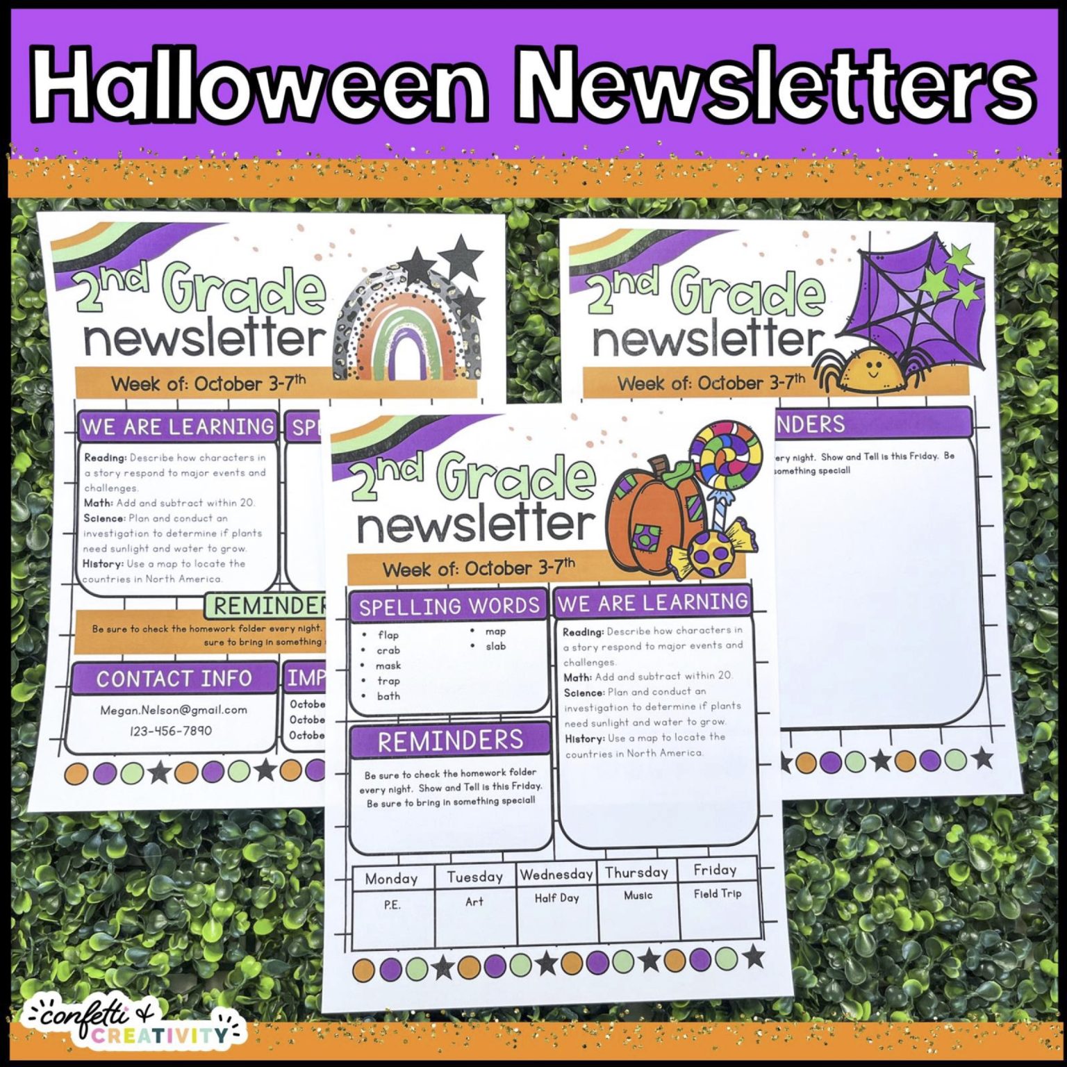 Holiday Newsletter Templates | Confetti & Creativity