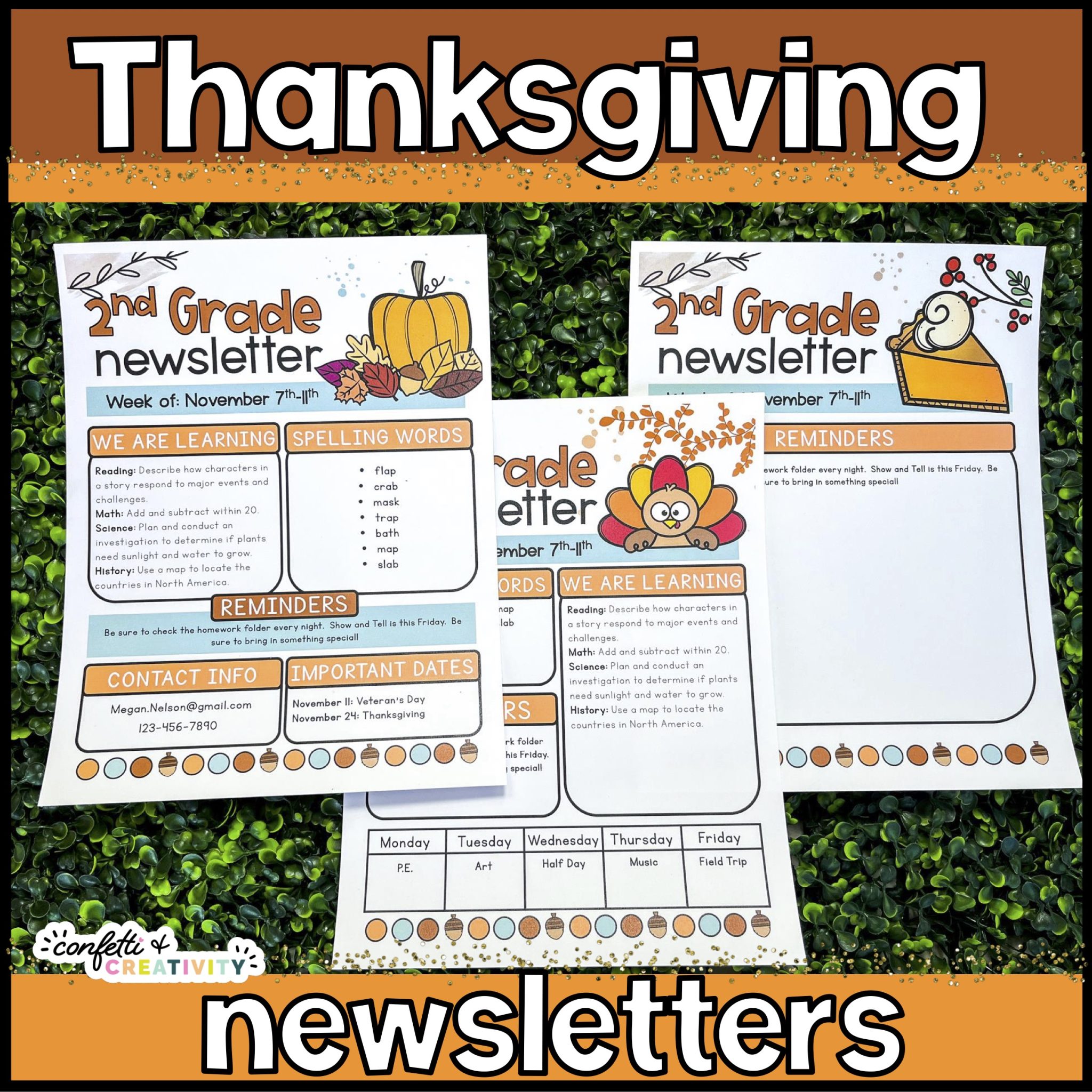Holiday Newsletter Templates | Confetti & Creativity