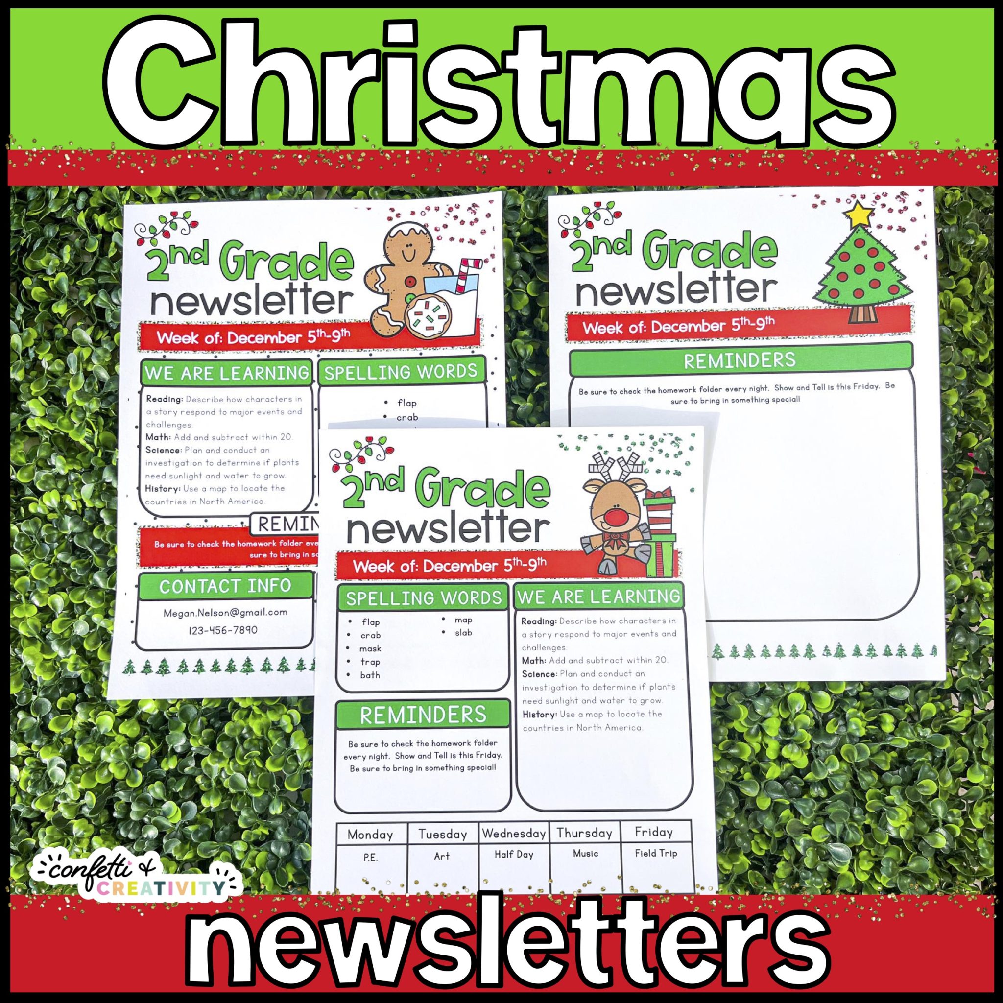 Holiday Newsletter Templates | Confetti & Creativity