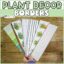 Plant Bulletin Board Borders | Confetti & Creativity