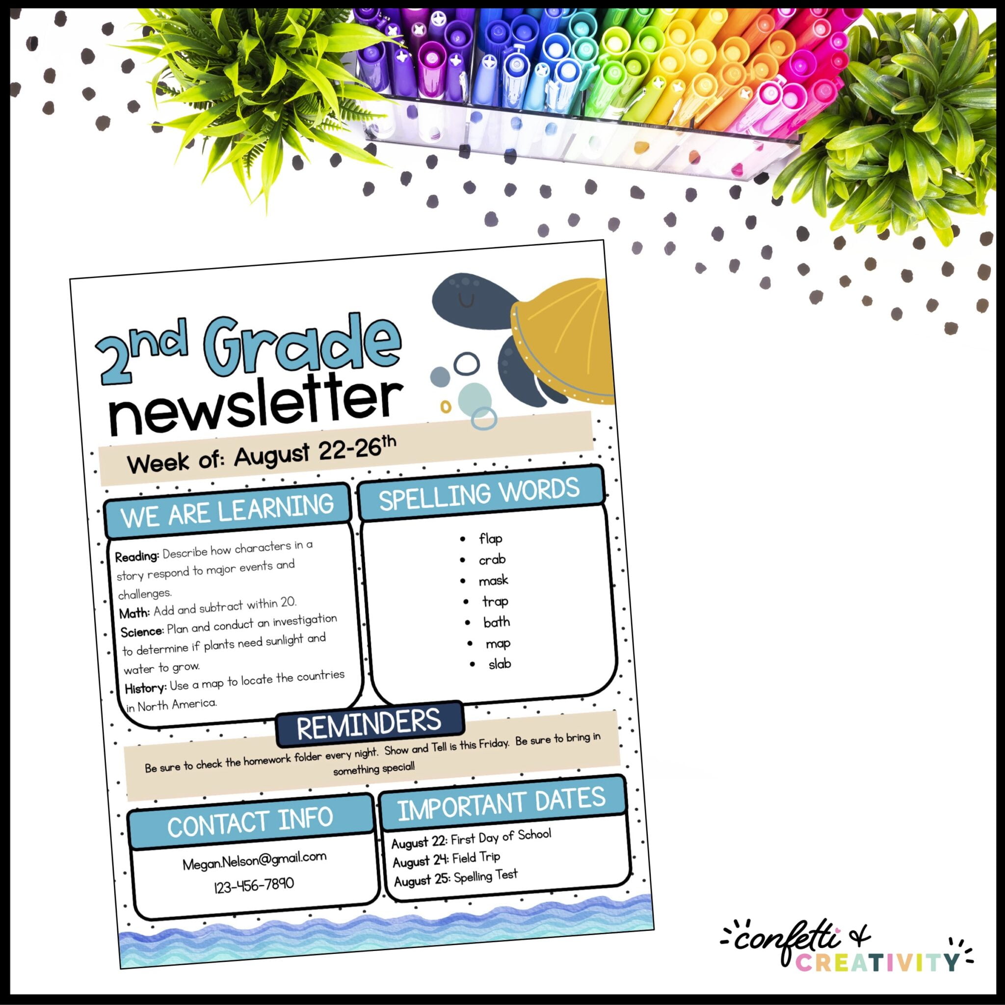 Ocean Newsletter Templates | Confetti & Creativity