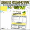 Lemon Newsletter Templates | Confetti & Creativity