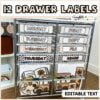 Neutral 12 Drawer Rolling Cart Labels | Confetti & Creativity