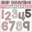 Boho Neutral Skip Counting Numbers | Confetti & Creativity