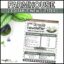 Farmhouse Newsletter Templates | Confetti & Creativity