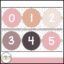 Boho Neutral Number Line 0-200 | Confetti & Creativity